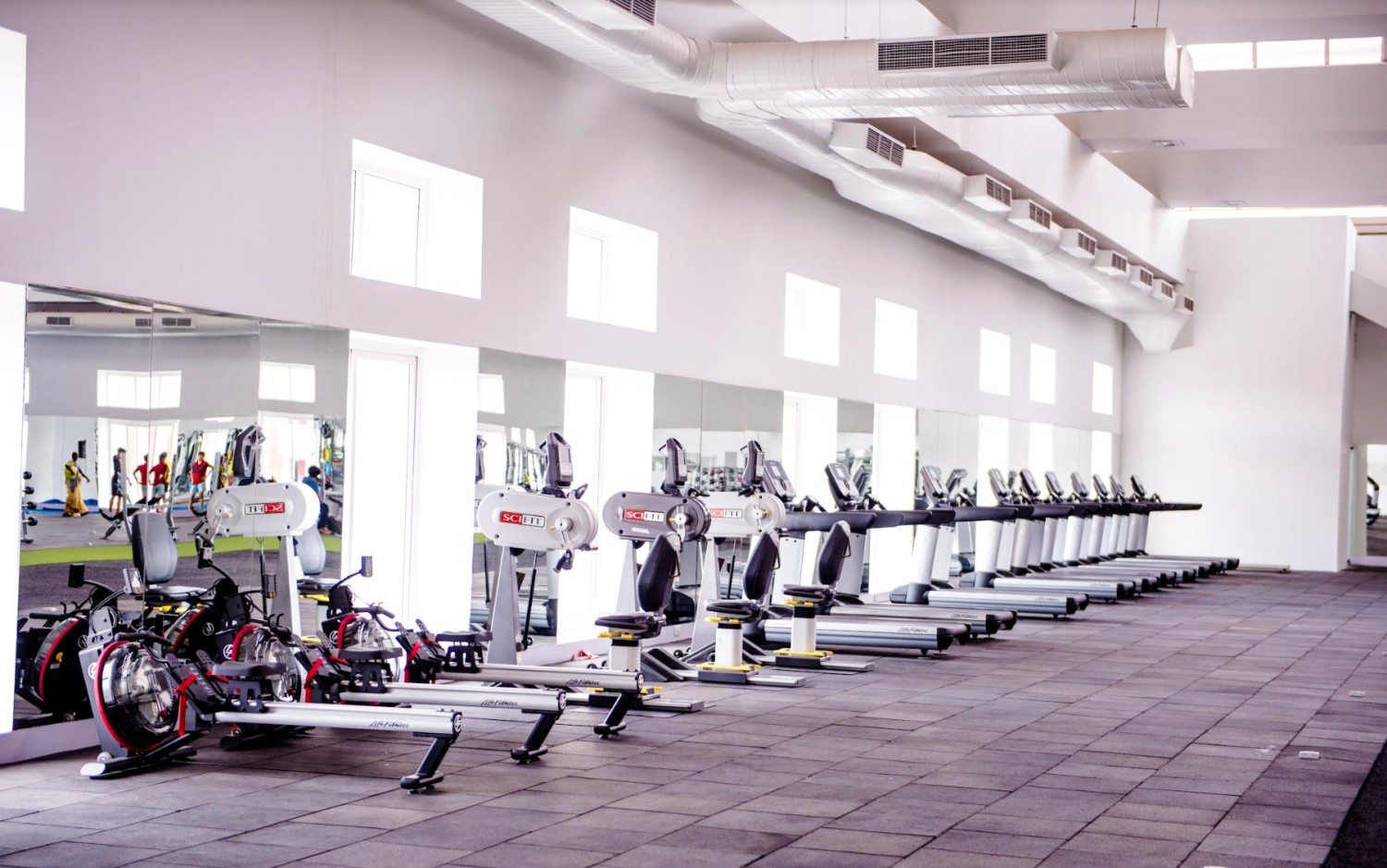 Deciphering the Indian athlete's mindset: Role of High-Performance ...