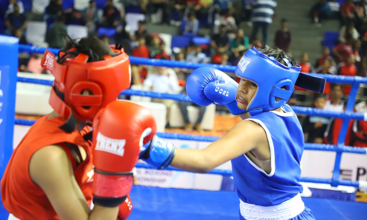 Haryana reigns supreme at 3rd Sub Junior National Boxing Championship ...
